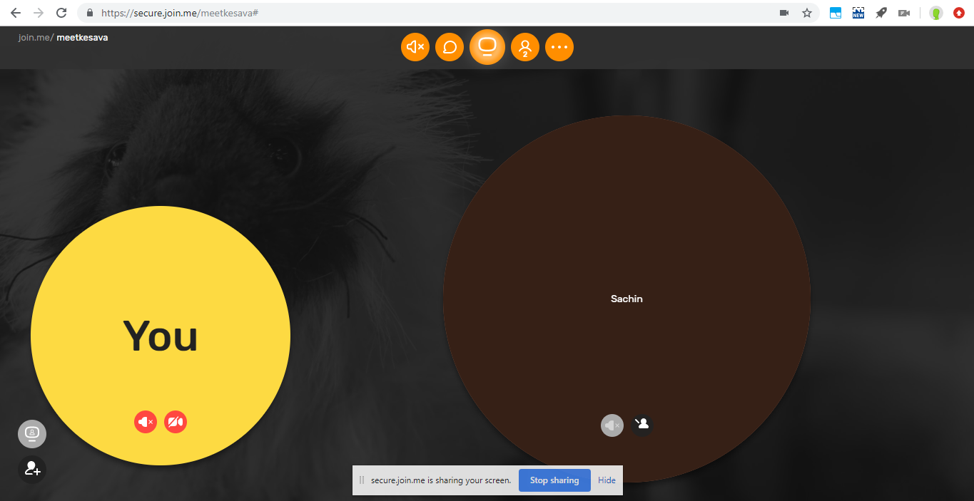 What is the Best Screen Sharing App for Your Business?